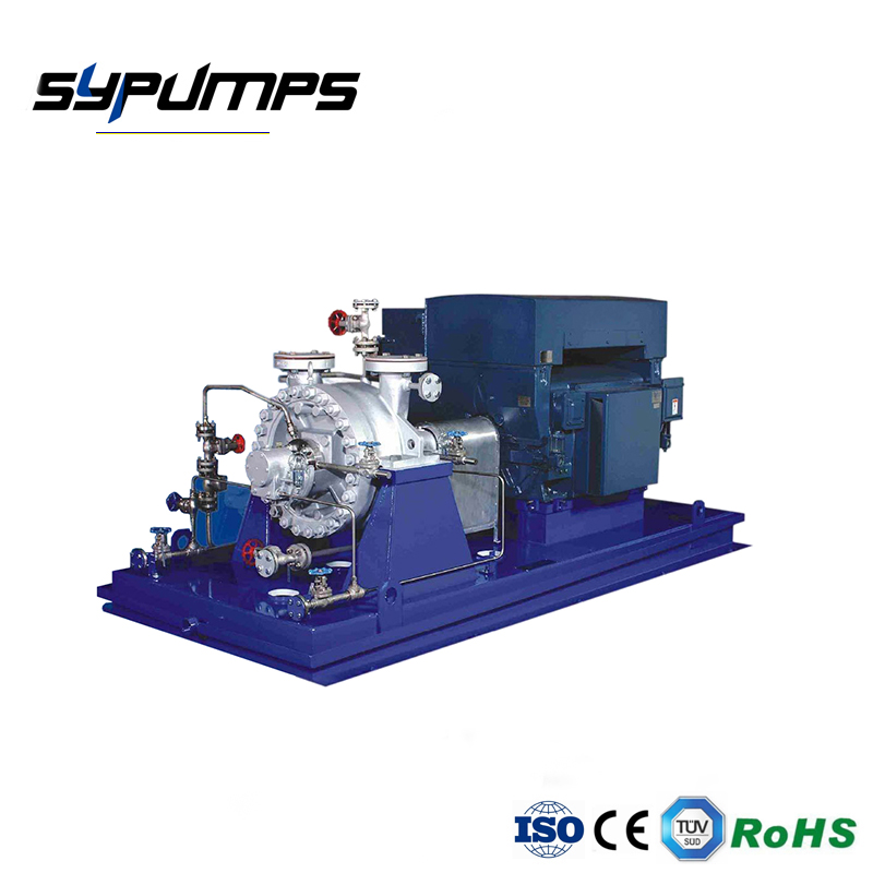 API610 BB2 Pumps Radially Split Volute Casing Double Suction Pumps