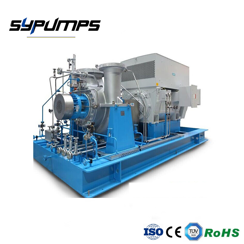 API610 BB2 Pumps Radially Split Volute Casing Double Suction Pumps
